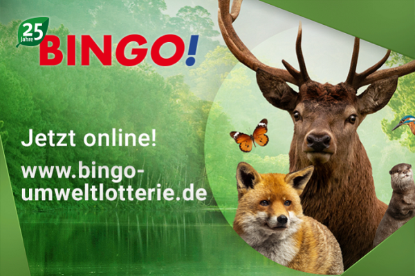 Service- und Informationsplattform | BINGO! - Die Umweltlotterie