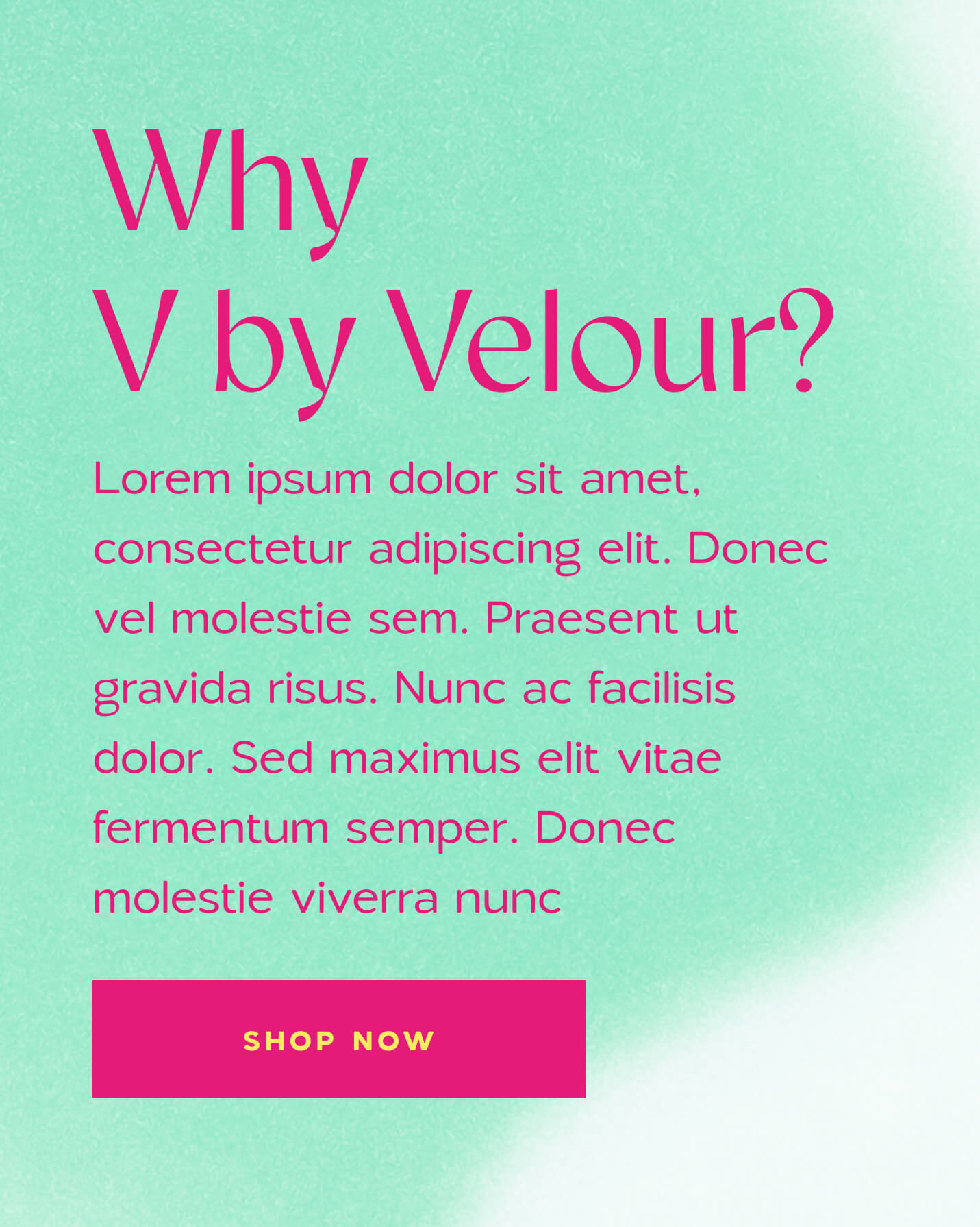 V By Velour | Velour Beauty