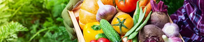 Complete ERP Solution for Your Fresh Produce Operations