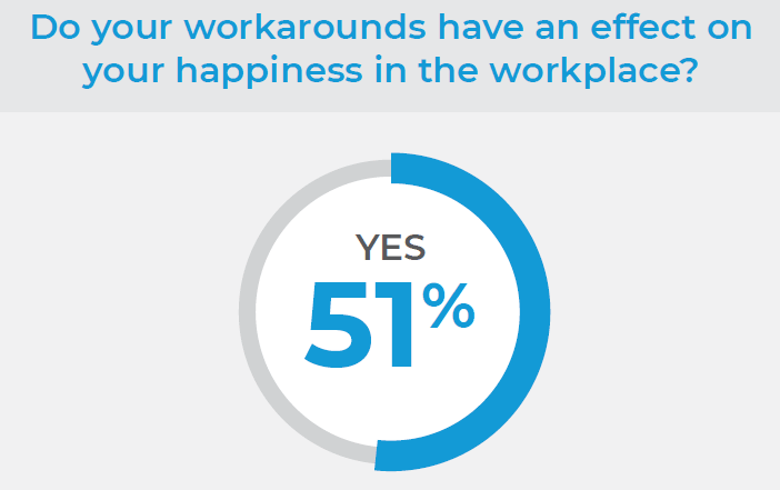 Overview of the State of Enterprise Software Workarounds