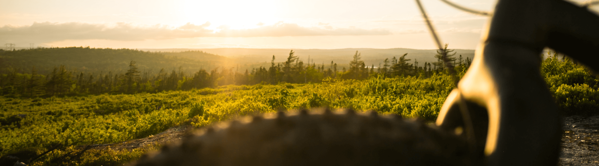 Sustainable bike? Impact of the Wheel Industry | velio blog