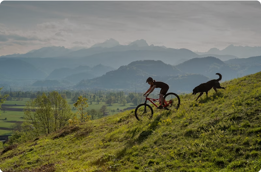 Generalüberholte E-Bikes mit Garantie online kaufen | velio