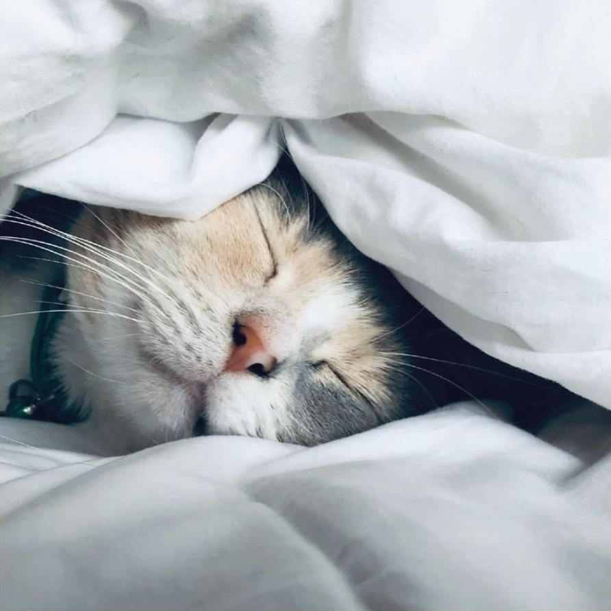 Hotel Paris Roissy in Mitry, Book at ACE Hotel in Mitry-Mory | ACE Hôtel