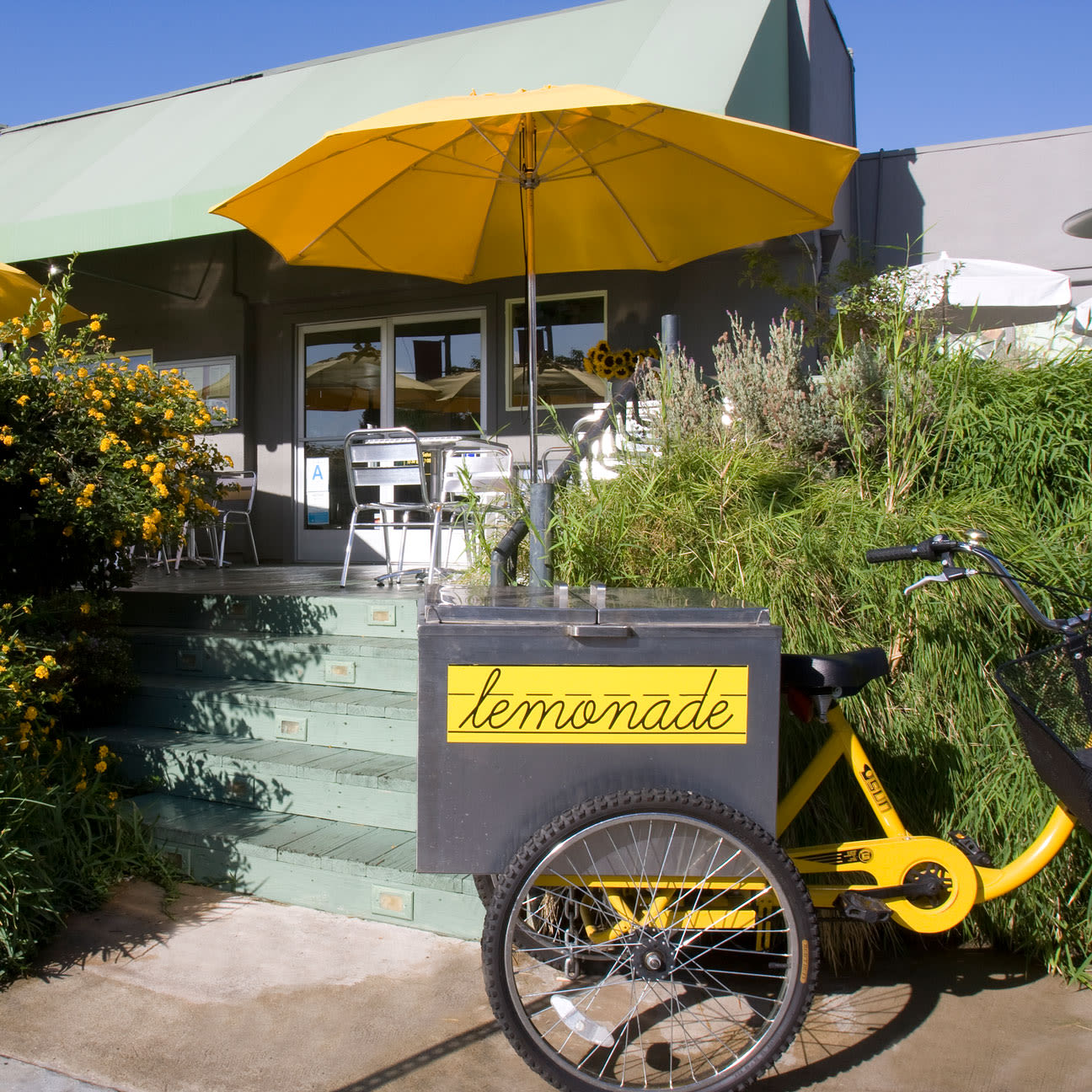 California Fresh & Healthy Restaurants | Lemonade