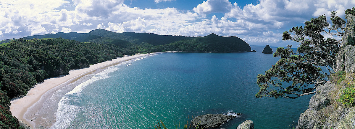 Coromandel Peninsula | Bookabach
