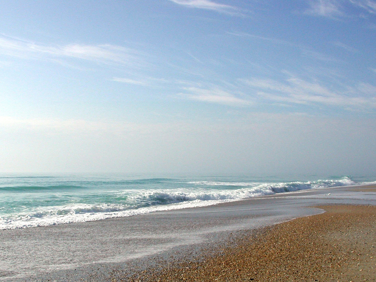 Familievenlige sommerhuse ved Dueodde og andre strande | Vrbo Danmark