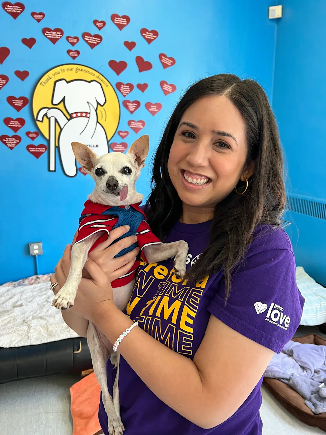 Tips for the Perfect Foster Pet Bio