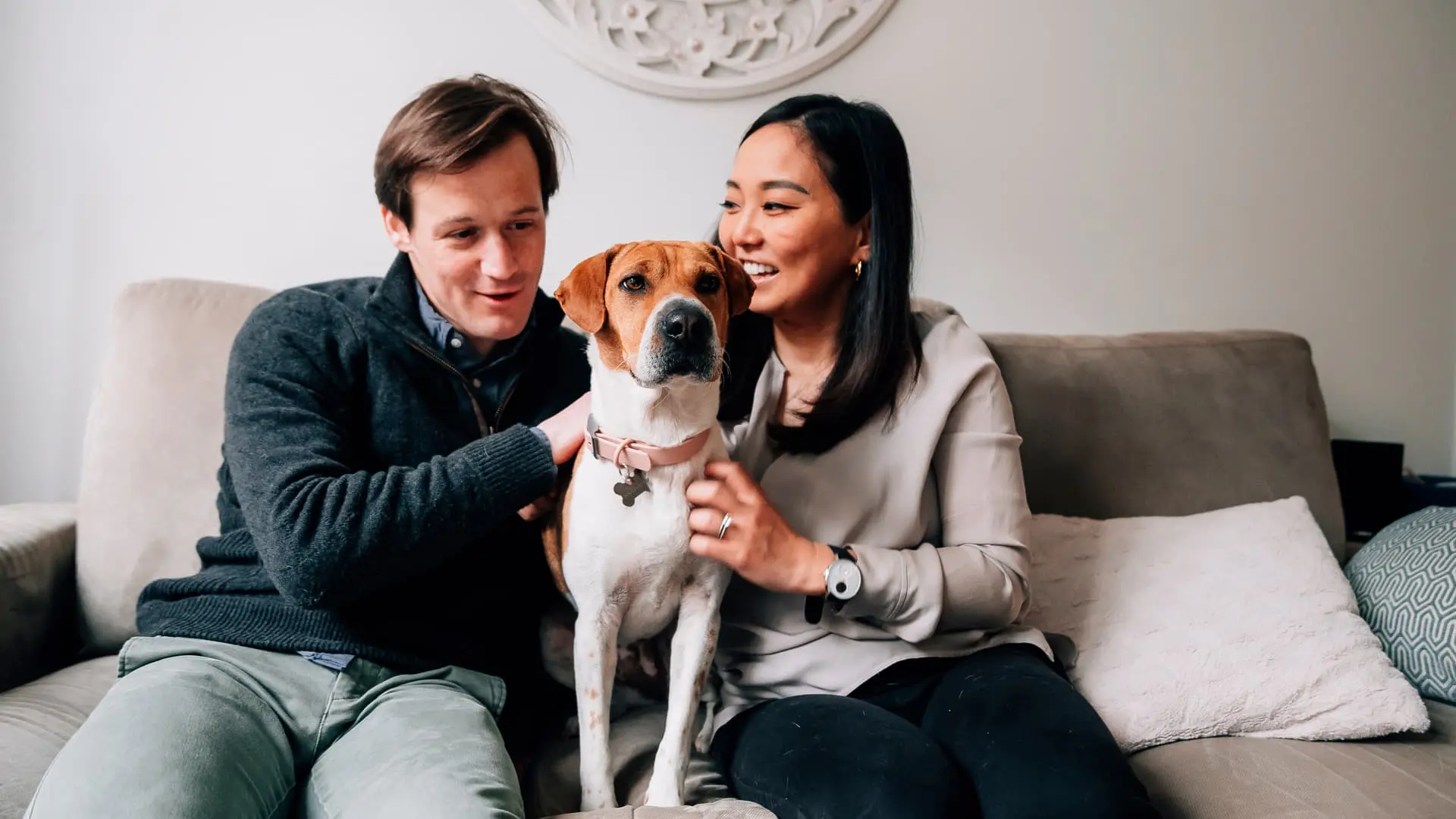 Petco Love | 501(c)(3) Nonprofit Animal Welfare Charity