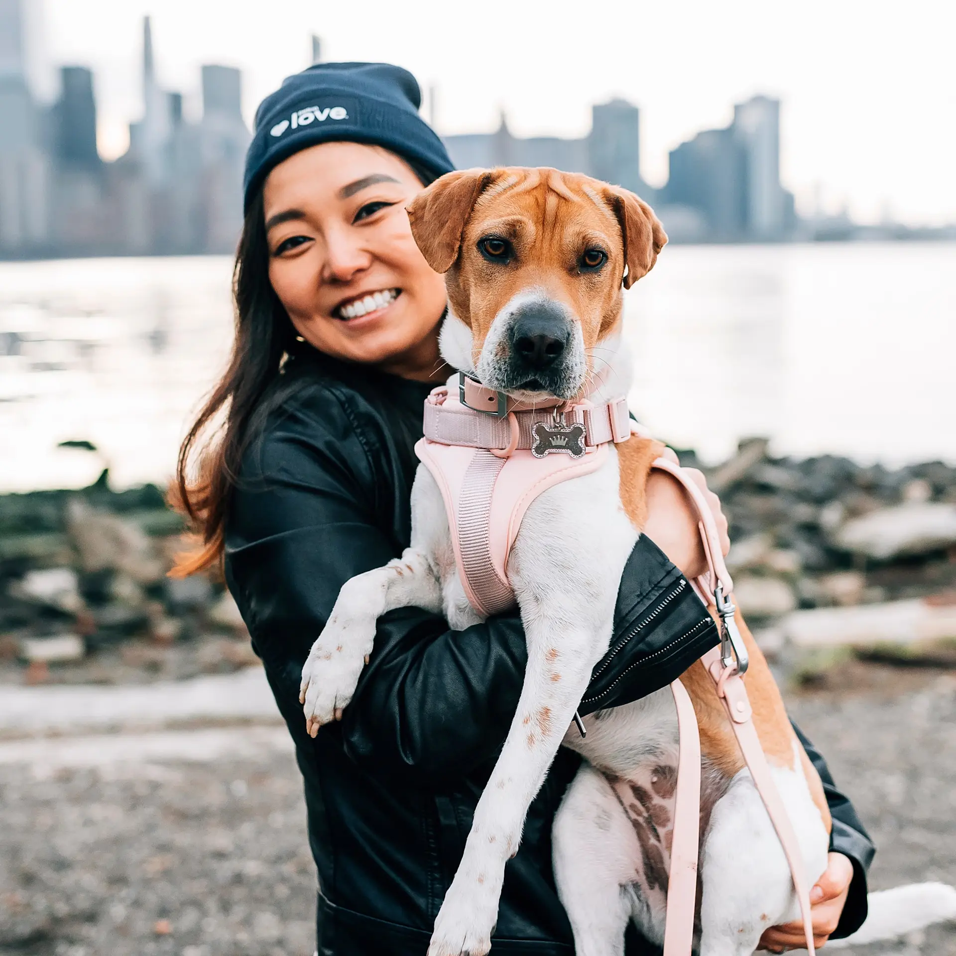 Petco Love Adopt | Foster or Adopt a Pet Today