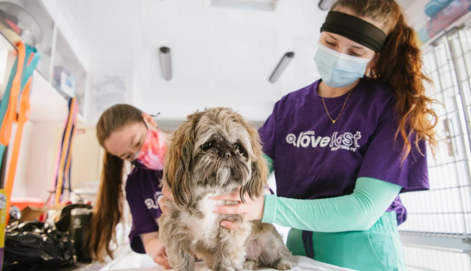 Petco Love Care | Find Affordable Pet Vaccines & Cancer Care