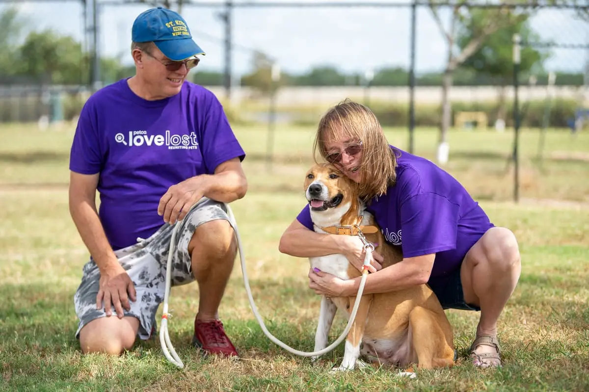 How Shelters and Rescues Can Better Help Lost Pets Get Home | Petco ...