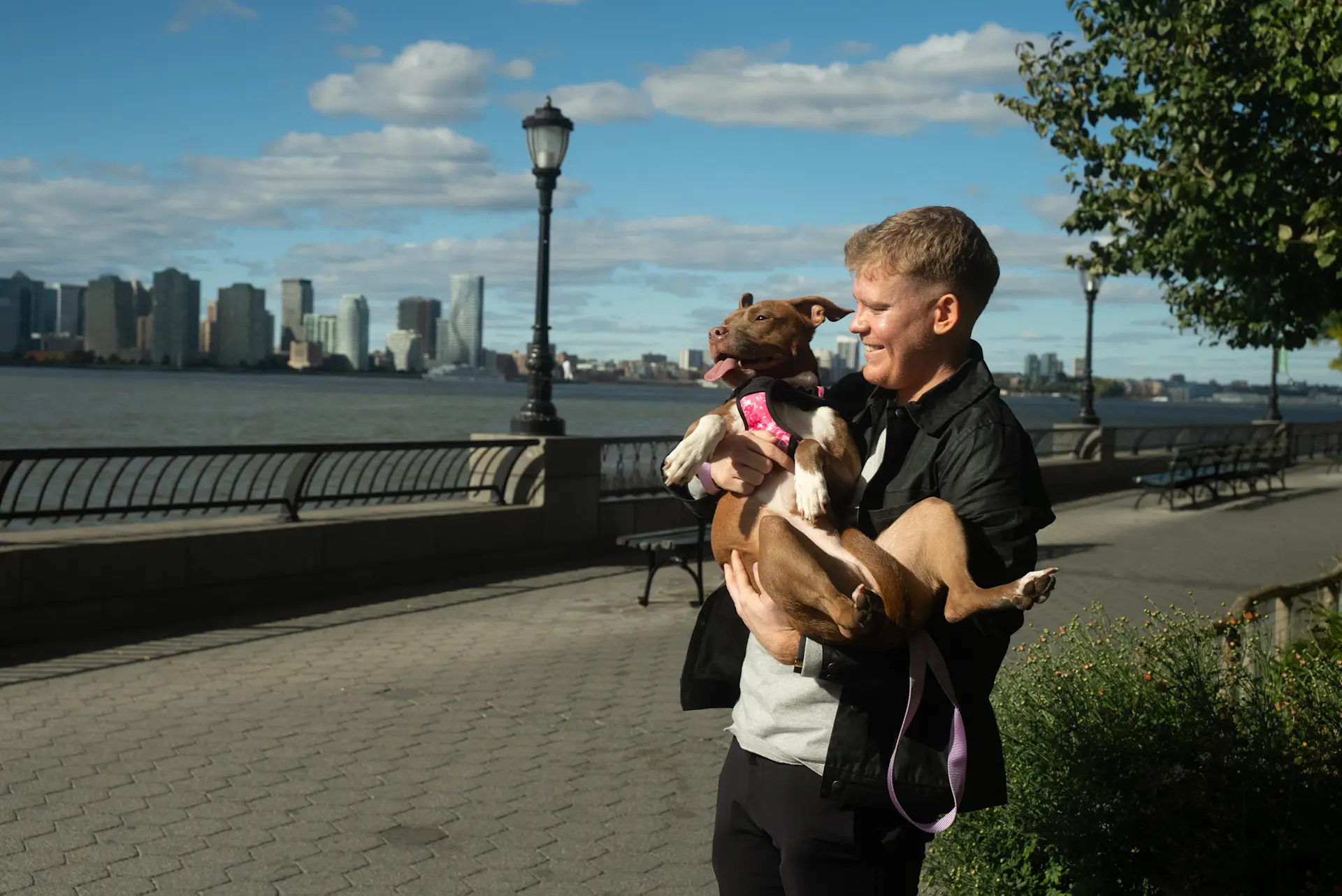 Report and Search Lost and Found Pets | Petco Love Lost