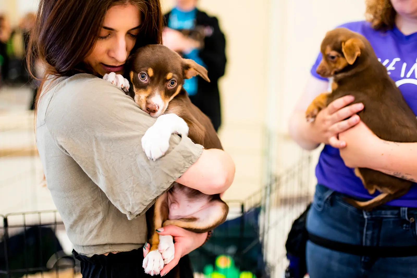 Become a Partner | Petco Love Lost