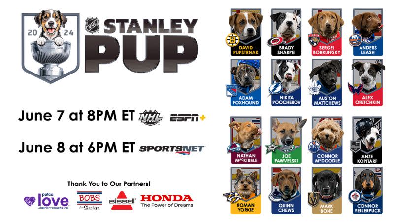 ‘Stanley Pup’ Rescue Dog Competition to Debut June 7 on NHL Network and ...
