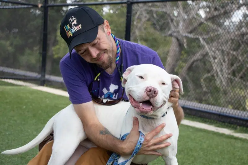 The Pawfect Match: Petco Love And Bobs From Skechers™ Celebrate ...