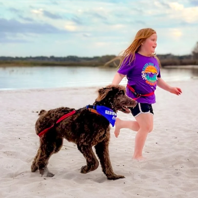 Rescue Dog Maverick Brings Love and Laughter Back To Reese’s Life