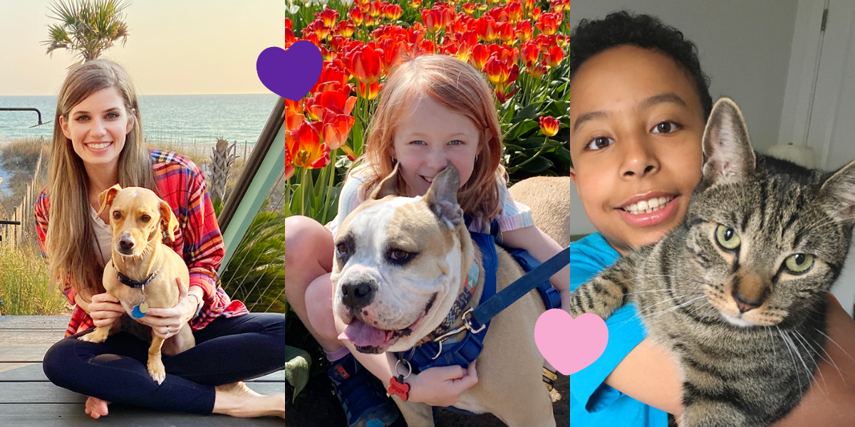 The 25 winning Love Stories are here! | Petco Love