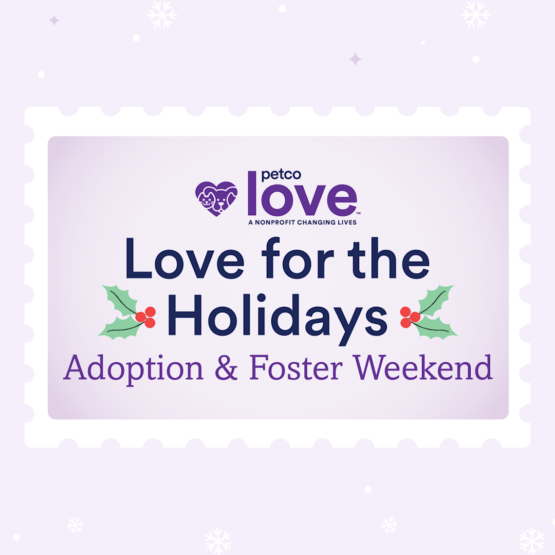 Love For The Holidays Pet Adoption & Foster Weekend | Petco Love