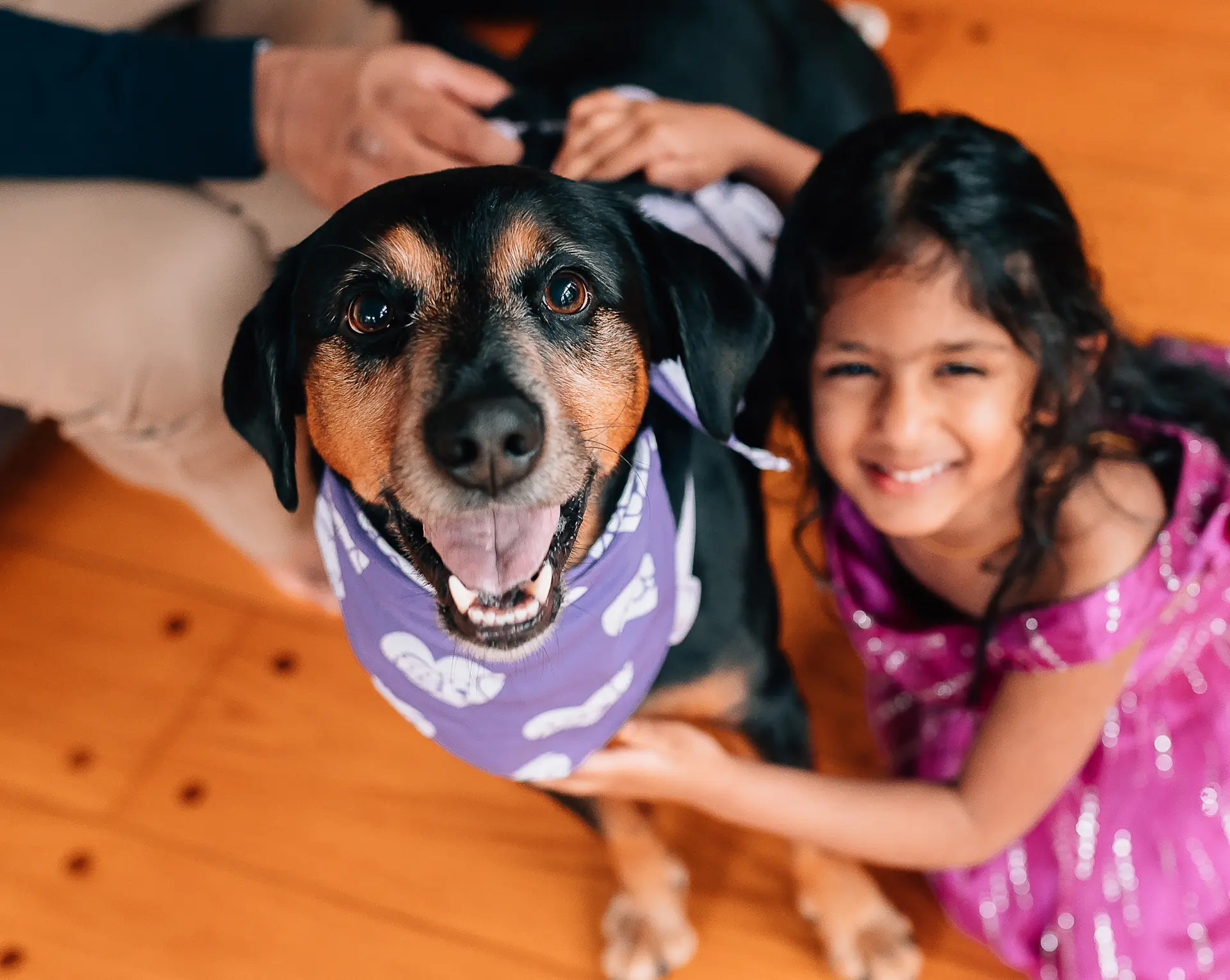 Pet Adoption Stories | Petco Love Adopt