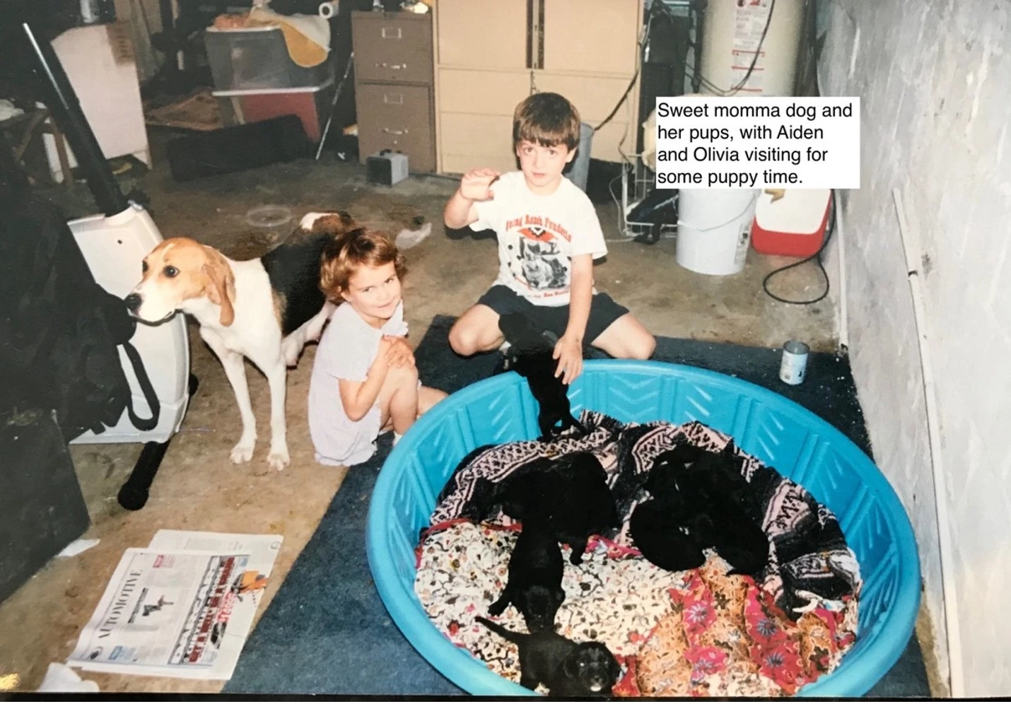 My First Foster Changed My Life