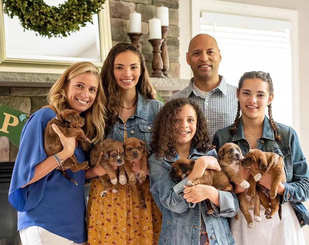 Petco Love Adopt | Foster or Adopt a Pet Today