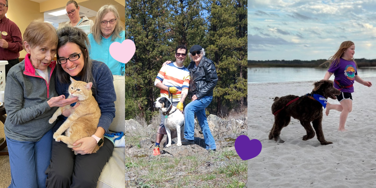 The Top 25 Love Stories are here! | Petco Love | Petco Love Lost