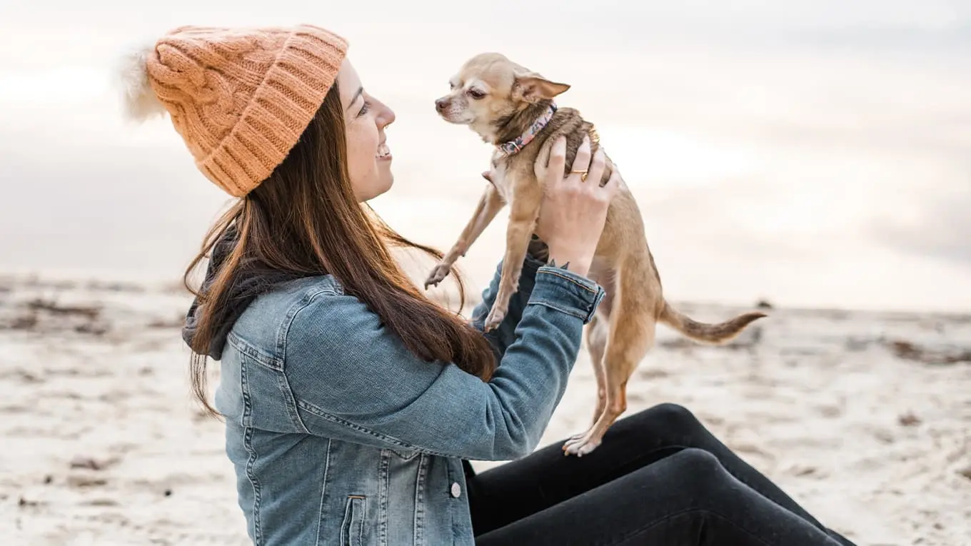 Cat and Dog Foster Information & Resources | Petco Love Adopt