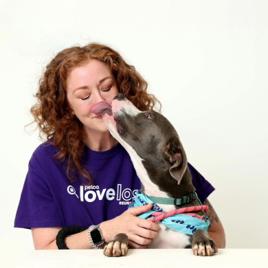 About Petco Love & Our Mission to Save Pets Lives