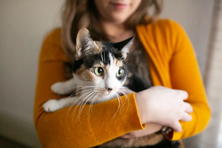 Petco Love Adopt | Foster or Adopt a Pet Today