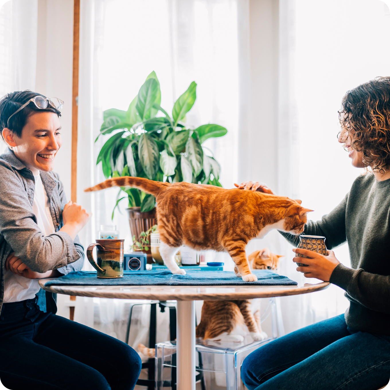 Petco Love | 501(c)(3) Nonprofit Animal Welfare Charity