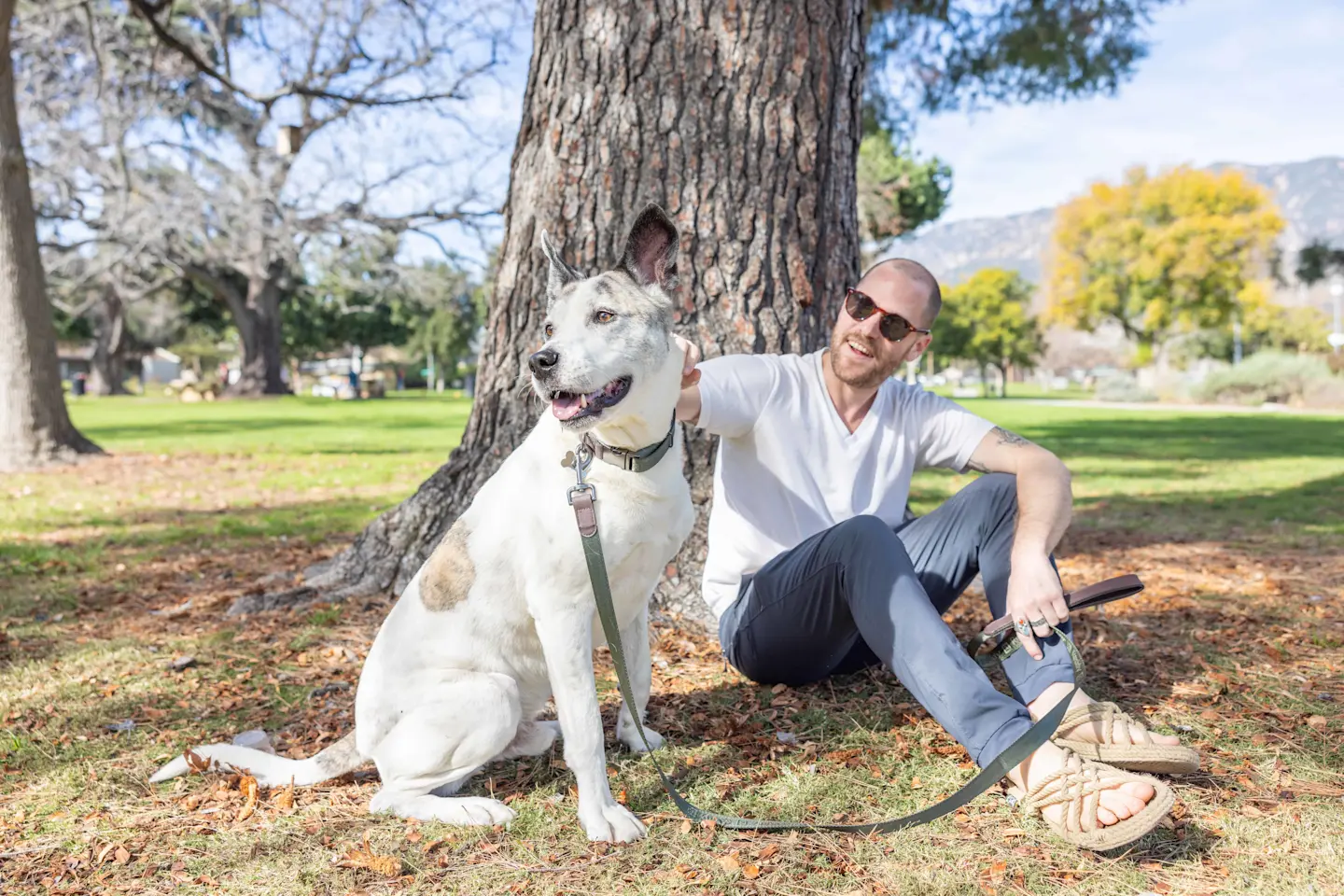 Report and Search Lost and Found Pets | Petco Love Lost
