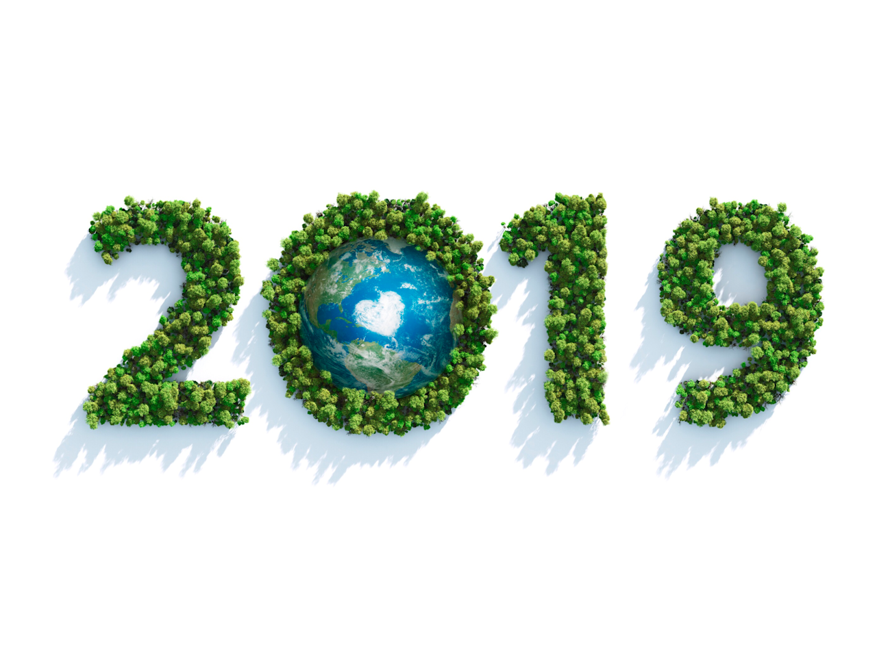 2019 Year in Review