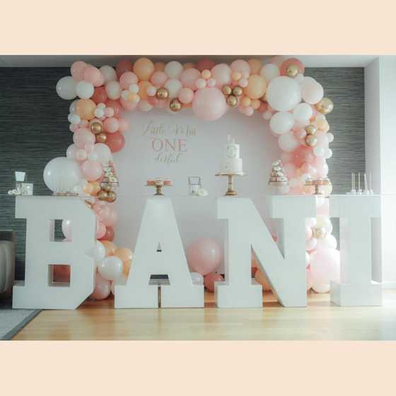 Signature Party Styling & Rentals