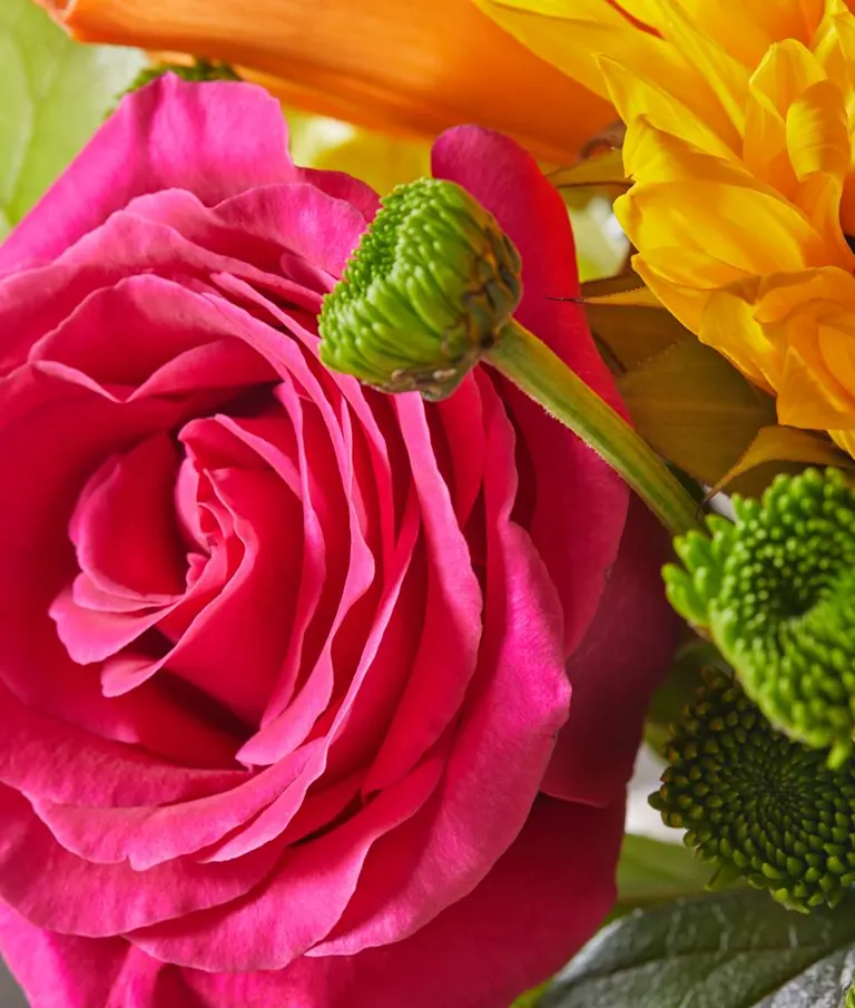 FTD Best Selling Products | FTD