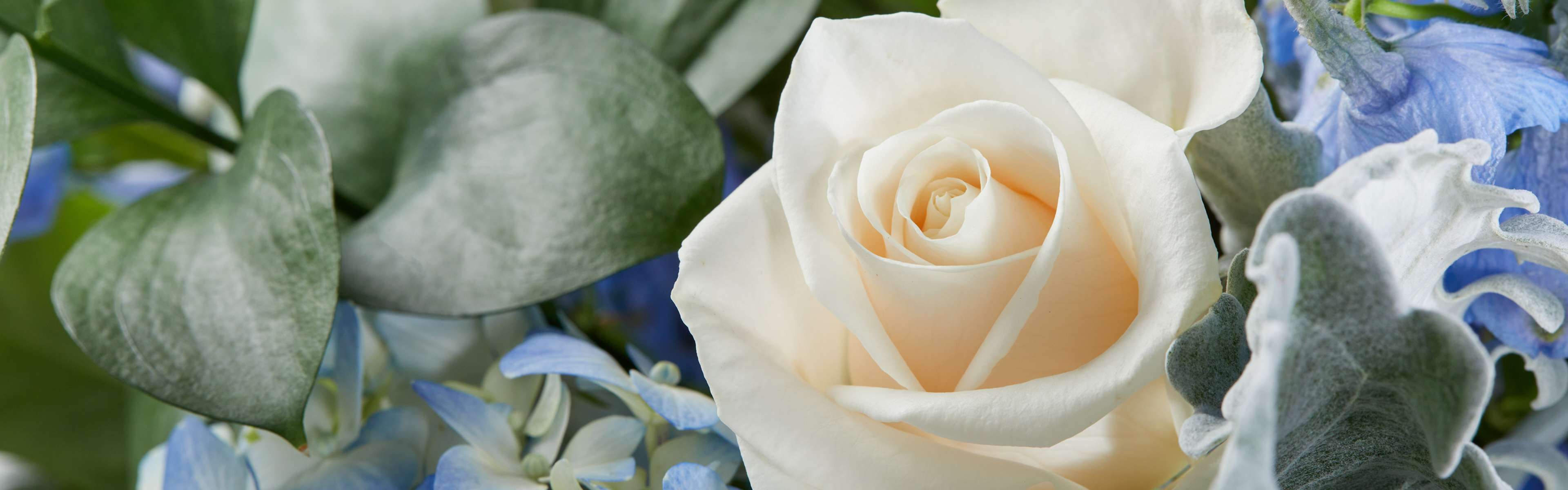 Flower Delivery: Send Flowers Online | FTD