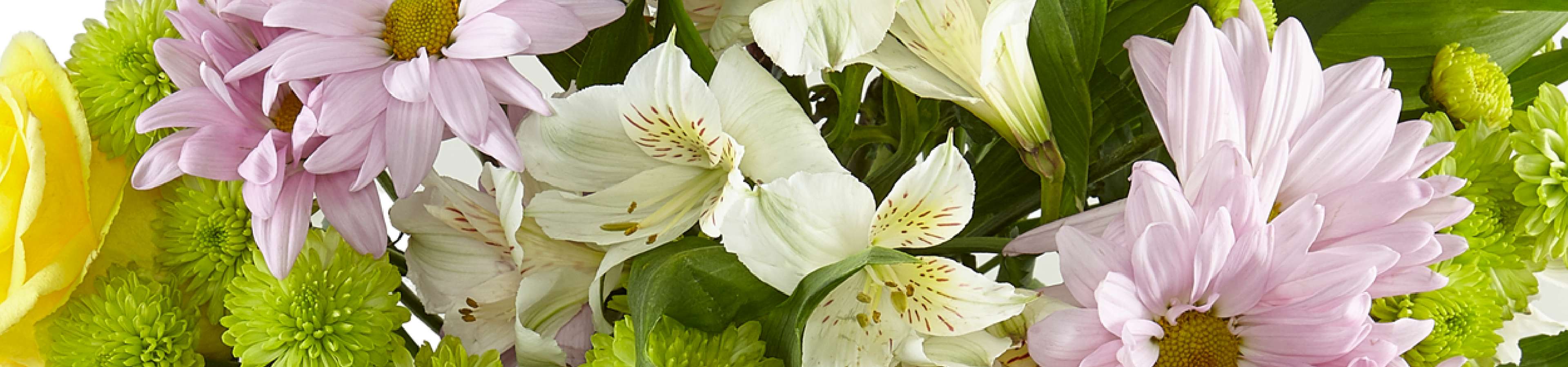 2025 Easter Collection | FTD