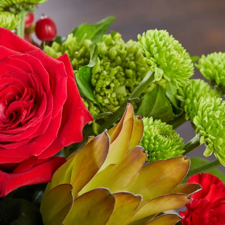 2024 Christmas Collection: Christmas Delivery | FTD