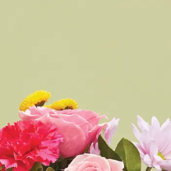 Featured Media | FTD