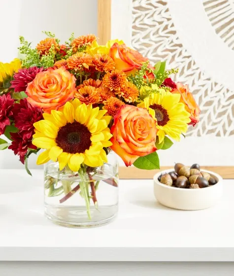 FTD Best Sellers: Flowers, Plants & Gifts | FTD