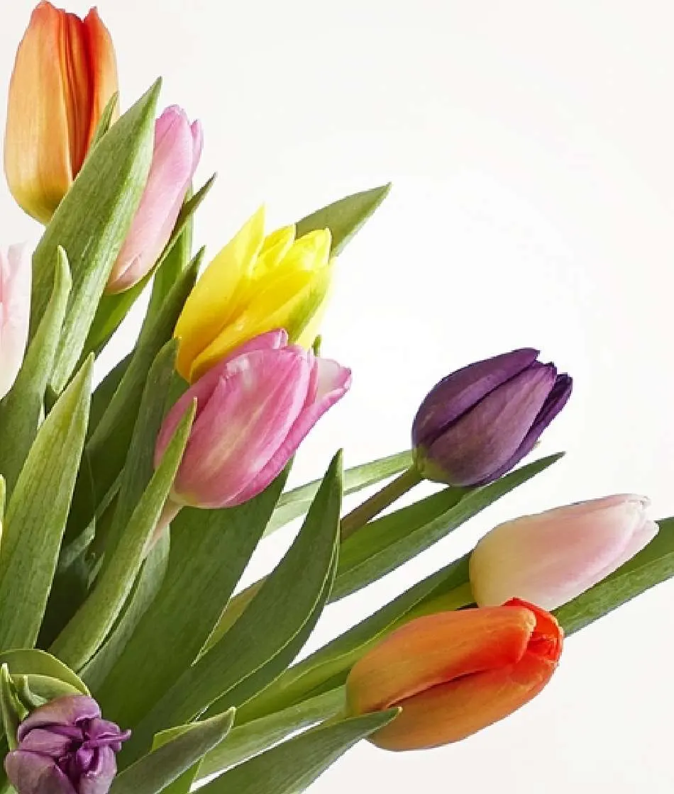 Best Selling Flowers: Send Popular Flowers Online | FTD