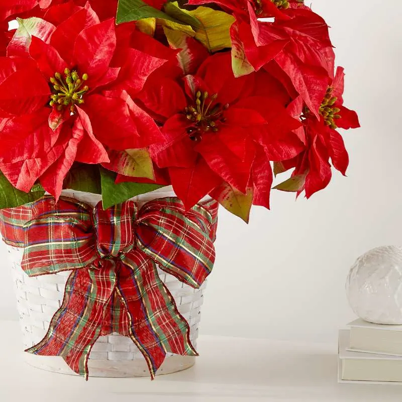 2025 Christmas Collection: Christmas Delivery | FTD