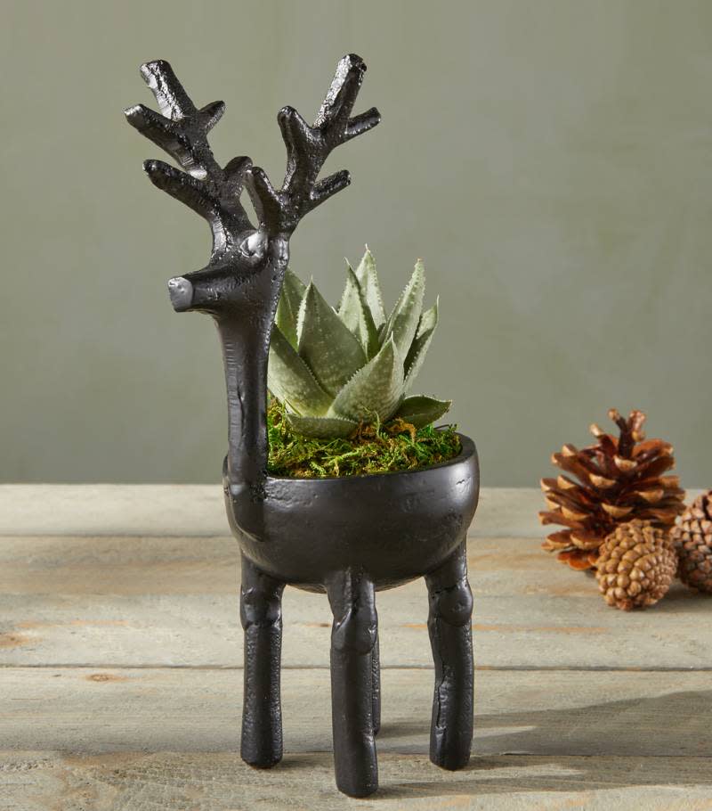 2022 Christmas Collection: Christmas Delivery | FTD