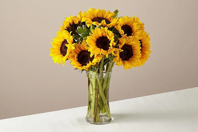 Flower Arrangement Delivery: Send Flower Arrangements | FTD