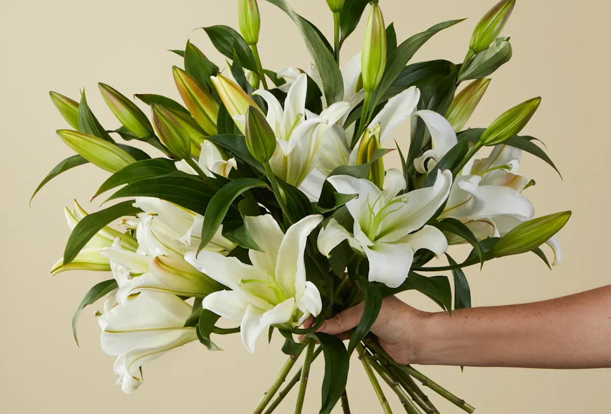 Brooklyn, NY Flower Delivery | FTD