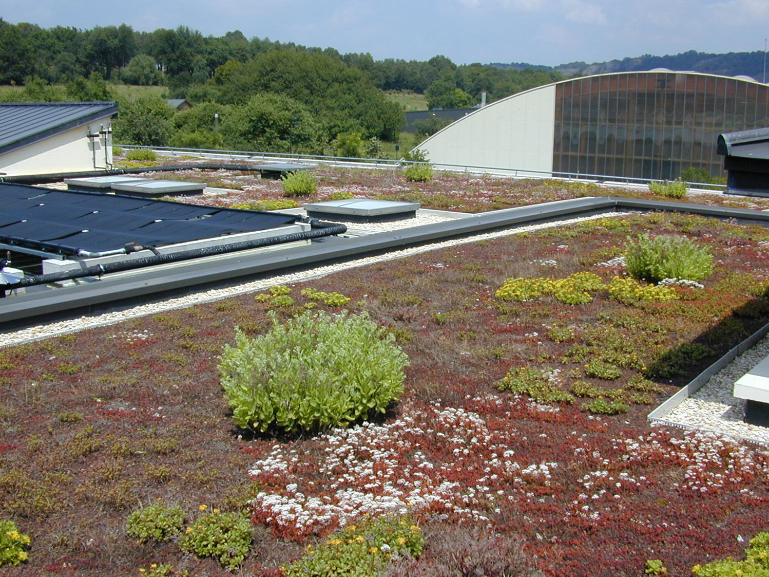 BMI France | Végétalisation de toiture pour le Complexe sportif de Chooz