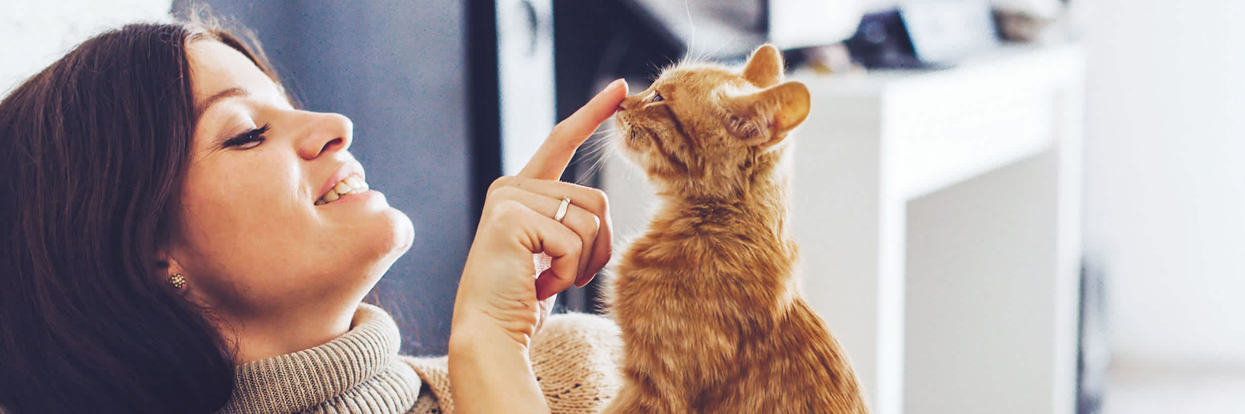 Exploring cat ownership | Pet Owner Insights