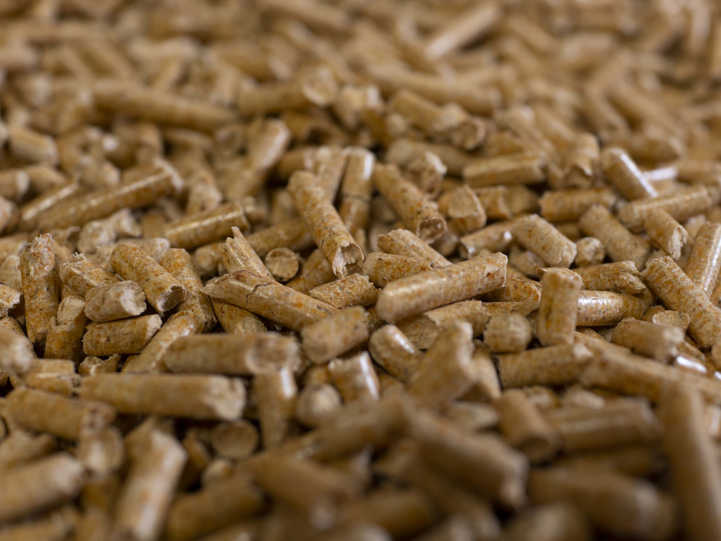 Pelletheizung installieren/reparieren