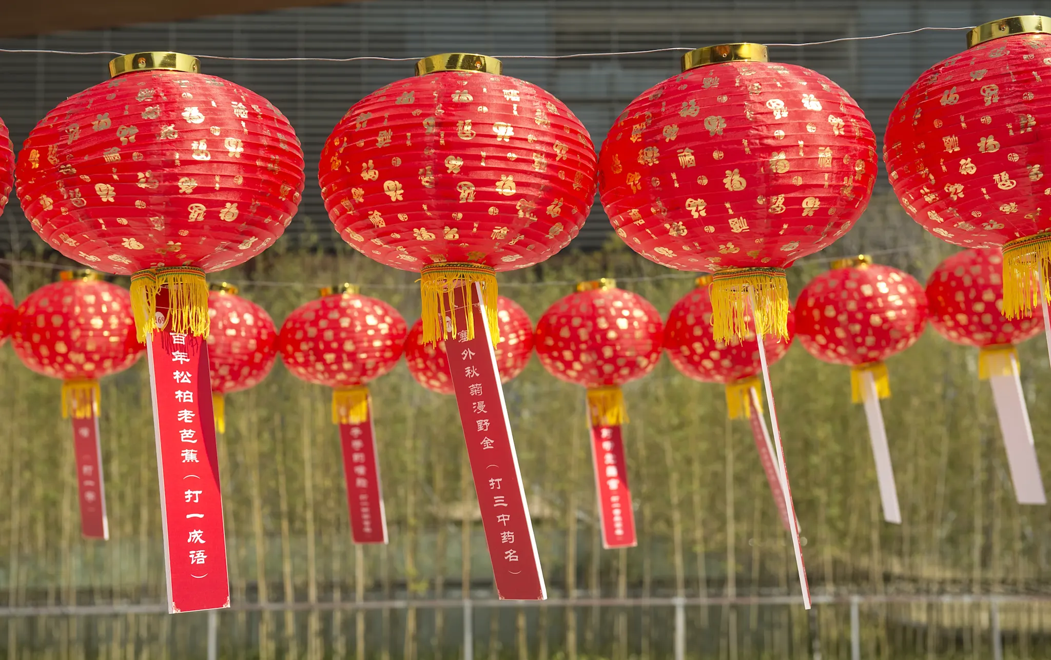 The Lantern Festival: Climax of the New Year Celebration