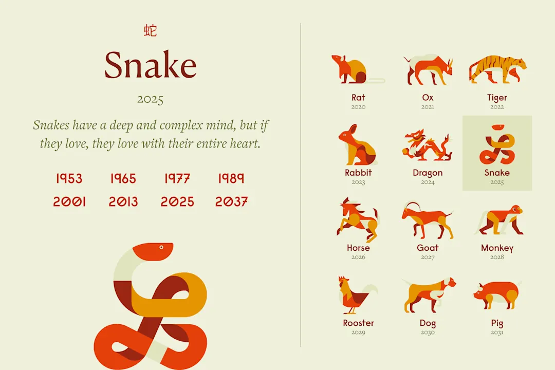 Year of the Snake: Fortune, Personality, Horoscope (2025)
