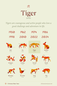 Zodiac Animal 1998 60 Photos Astrologytoyou